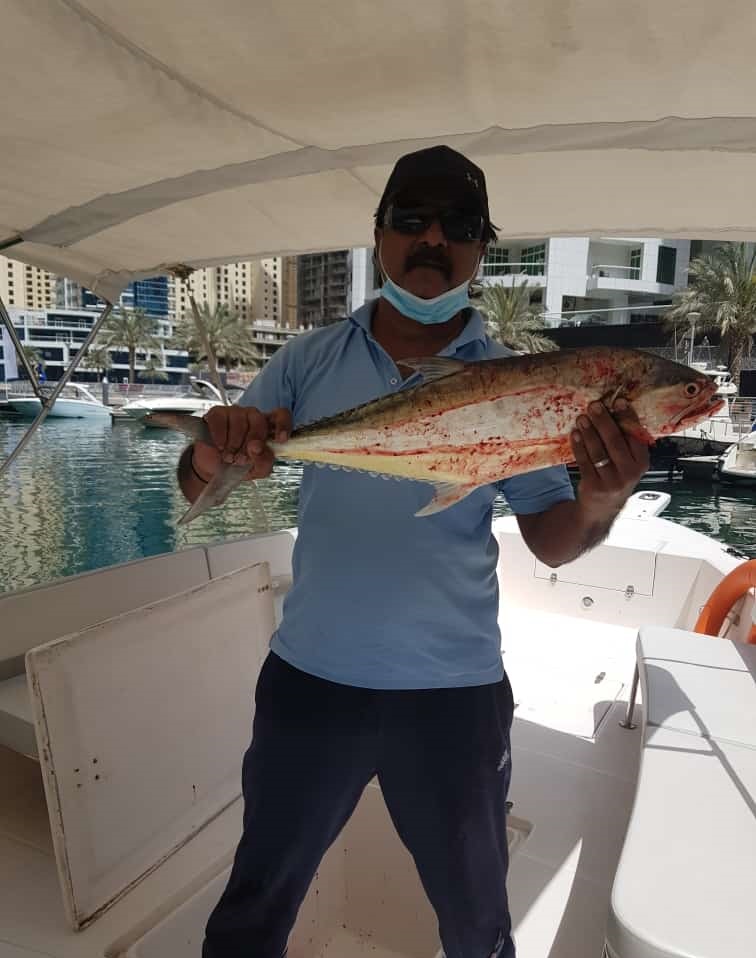 Deep Sea Fishing In Dubai | Fishing Trips Dubai | Al Ali Yachts